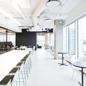 Our Specialized Work In The Lower Mainland Area | Sky Windows